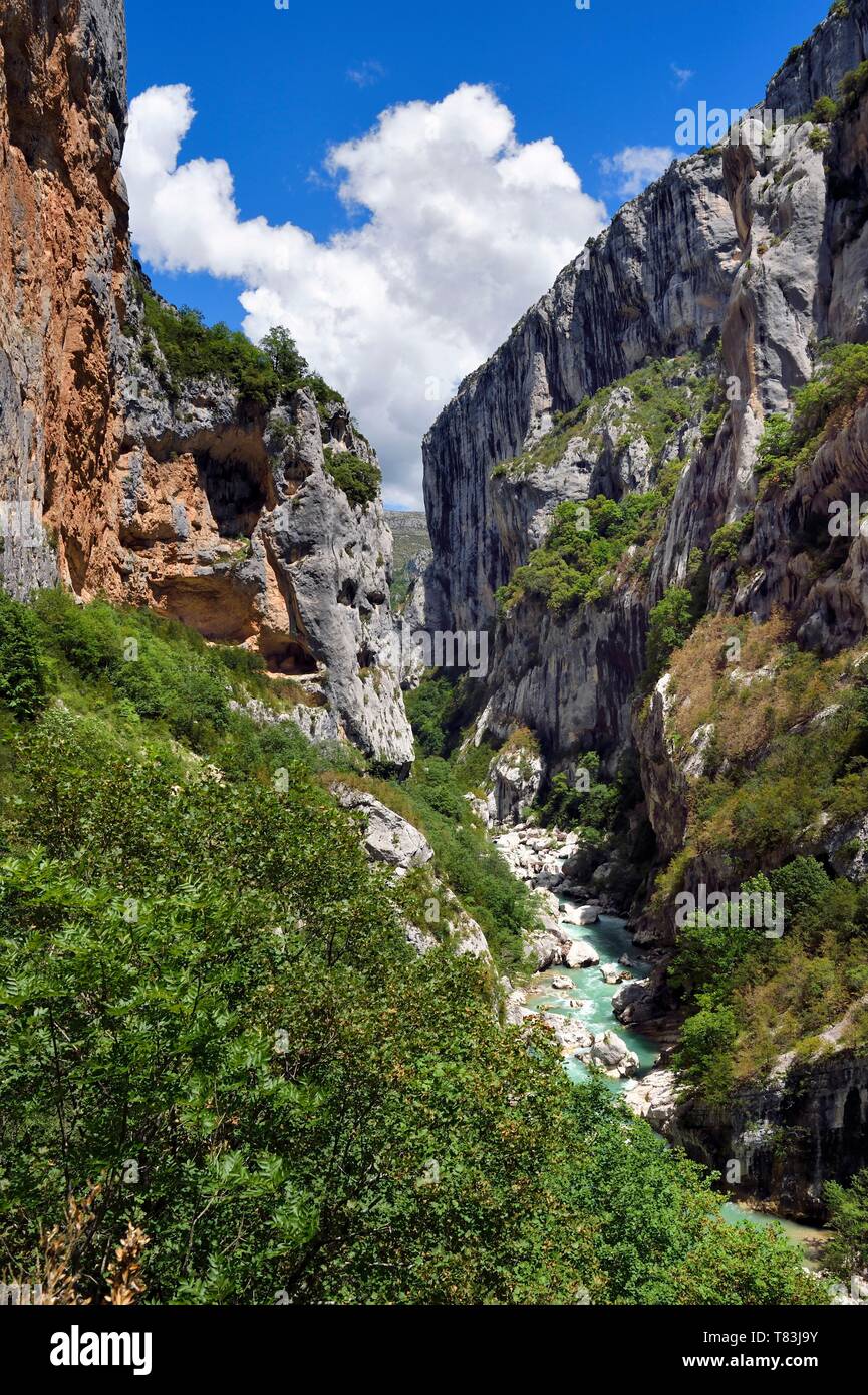 Sentier blanc martel hi-res stock photography and images - Alamy