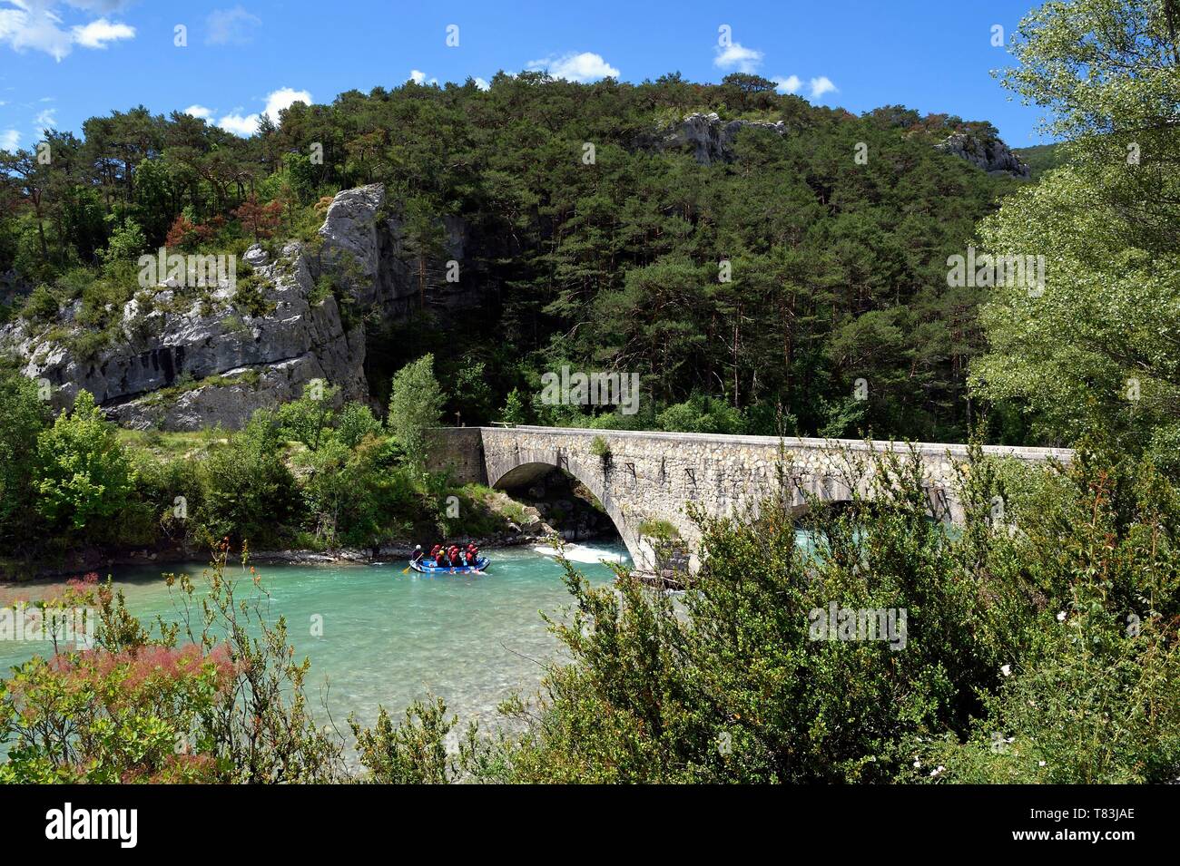 France, Alpes de Haute Provence, Parc Naturel Regional du Verdon ...