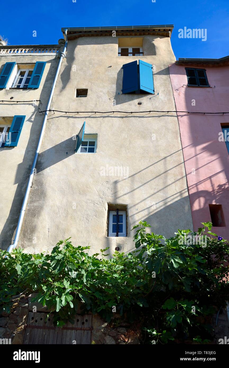 Beaux Arts David Hamilton