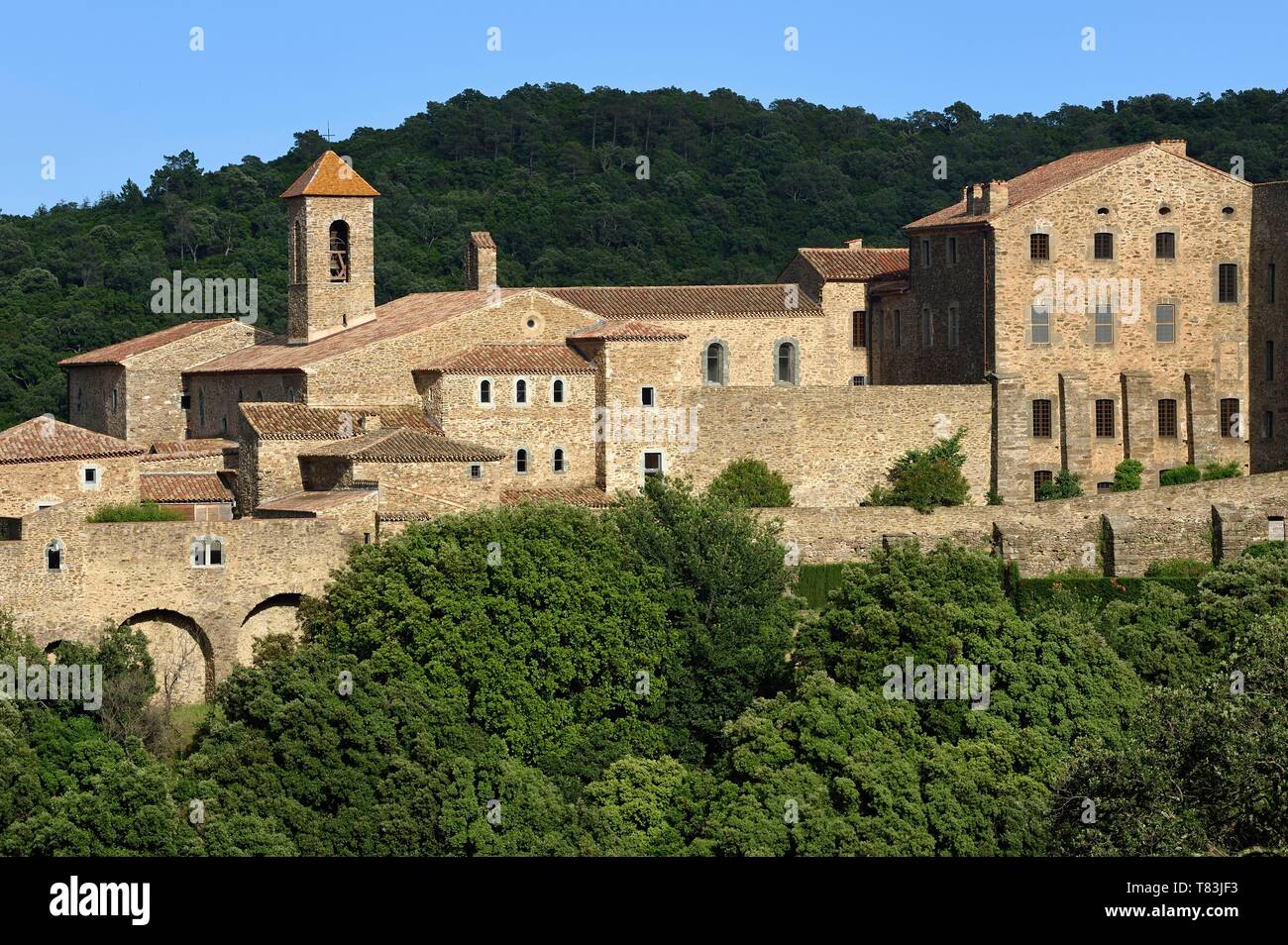 Chartreuse de la verne monastery hi-res stock photography and images ...