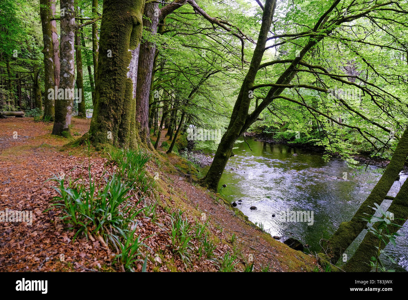 Orbital treck hi-res stock photography and images - Alamy