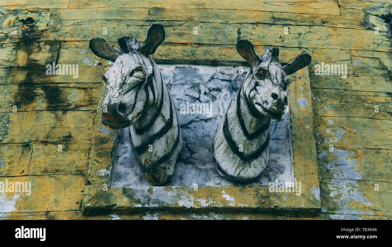 Two wooden zebra heads on wooden wall in public place. Animals draft or ...