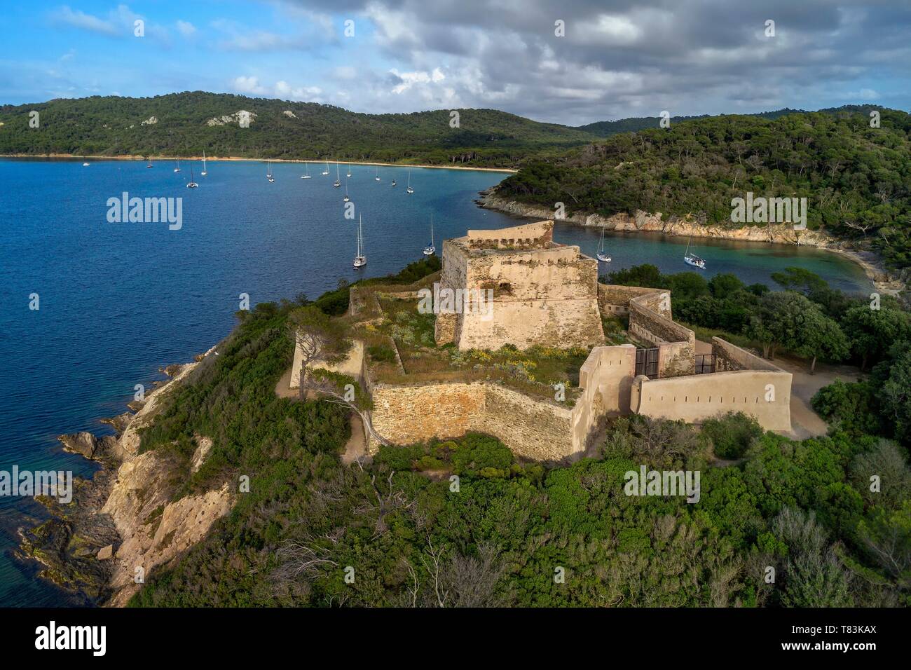 France, Var, Iles d'Hyeres, Parc National de Port Cros (National park ...