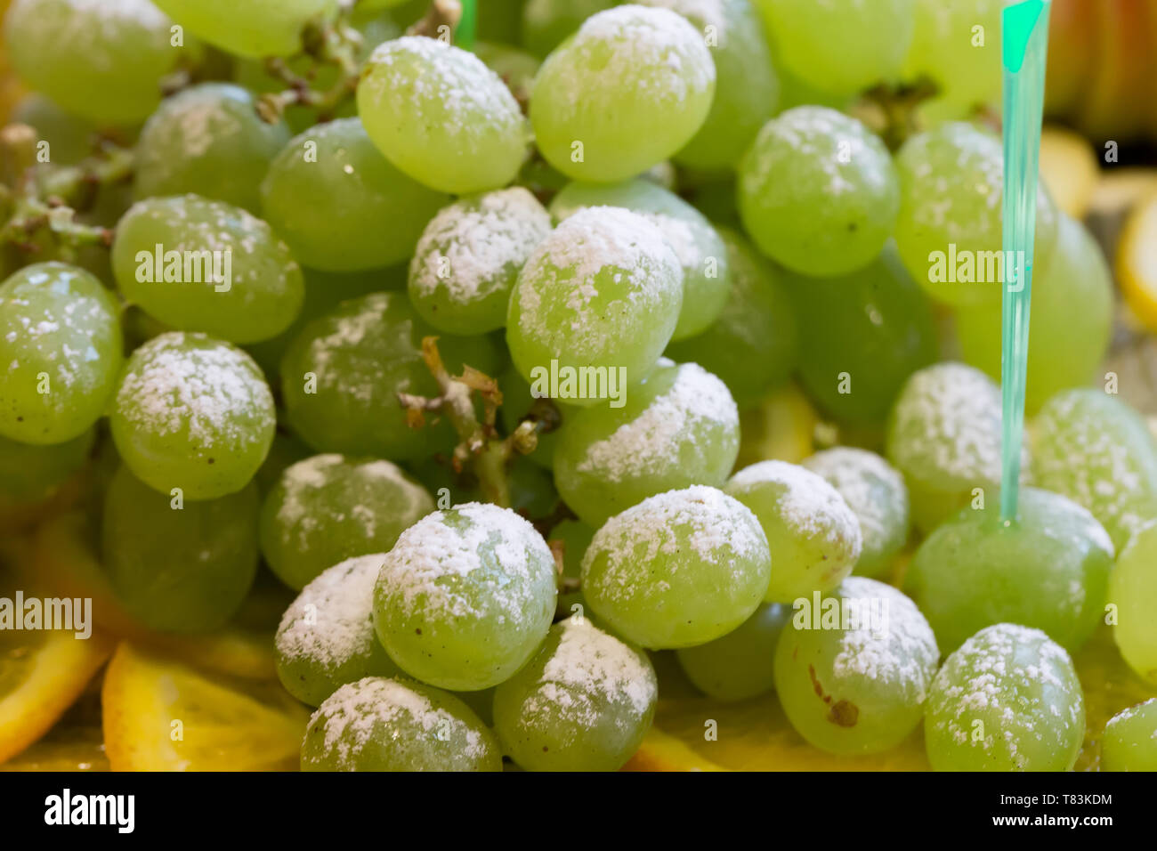 Green grapes with powdered sugar. Fruit dessert Stock Photo - Alamy