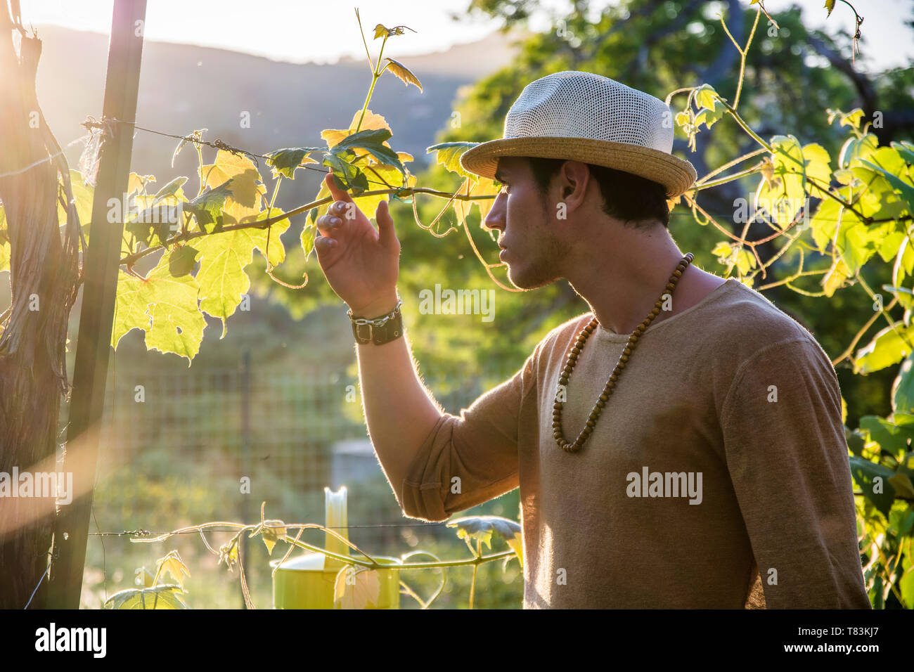 Hairy handsome young man standing hi-res stock photography and images ...