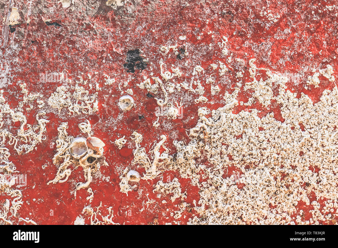 Boat side texture hi-res stock photography and images - Alamy