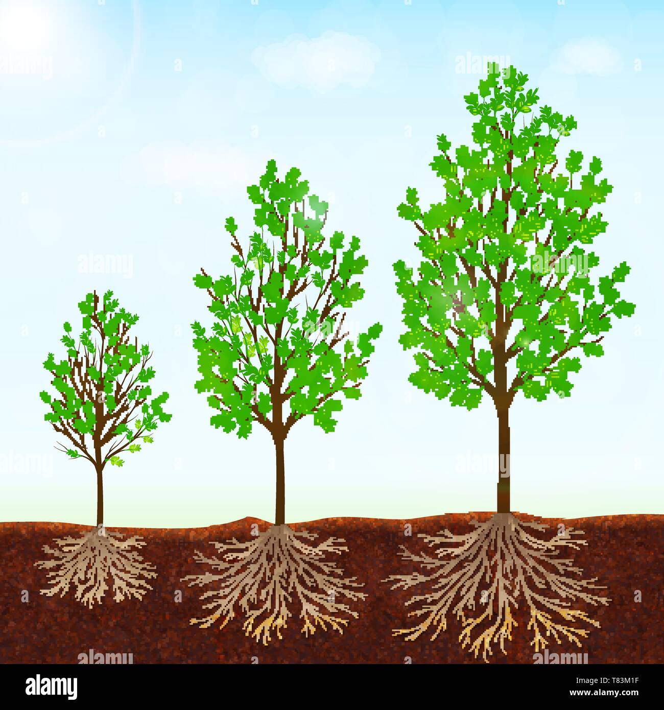 Growth of the tree vector background Stock Vector Image & Art - Alamy
