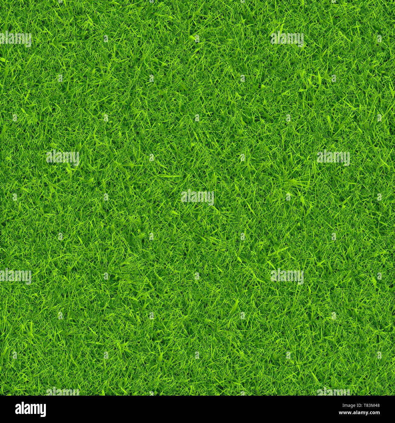 Green grass background vector Stock Vector Image & Art - Alamy