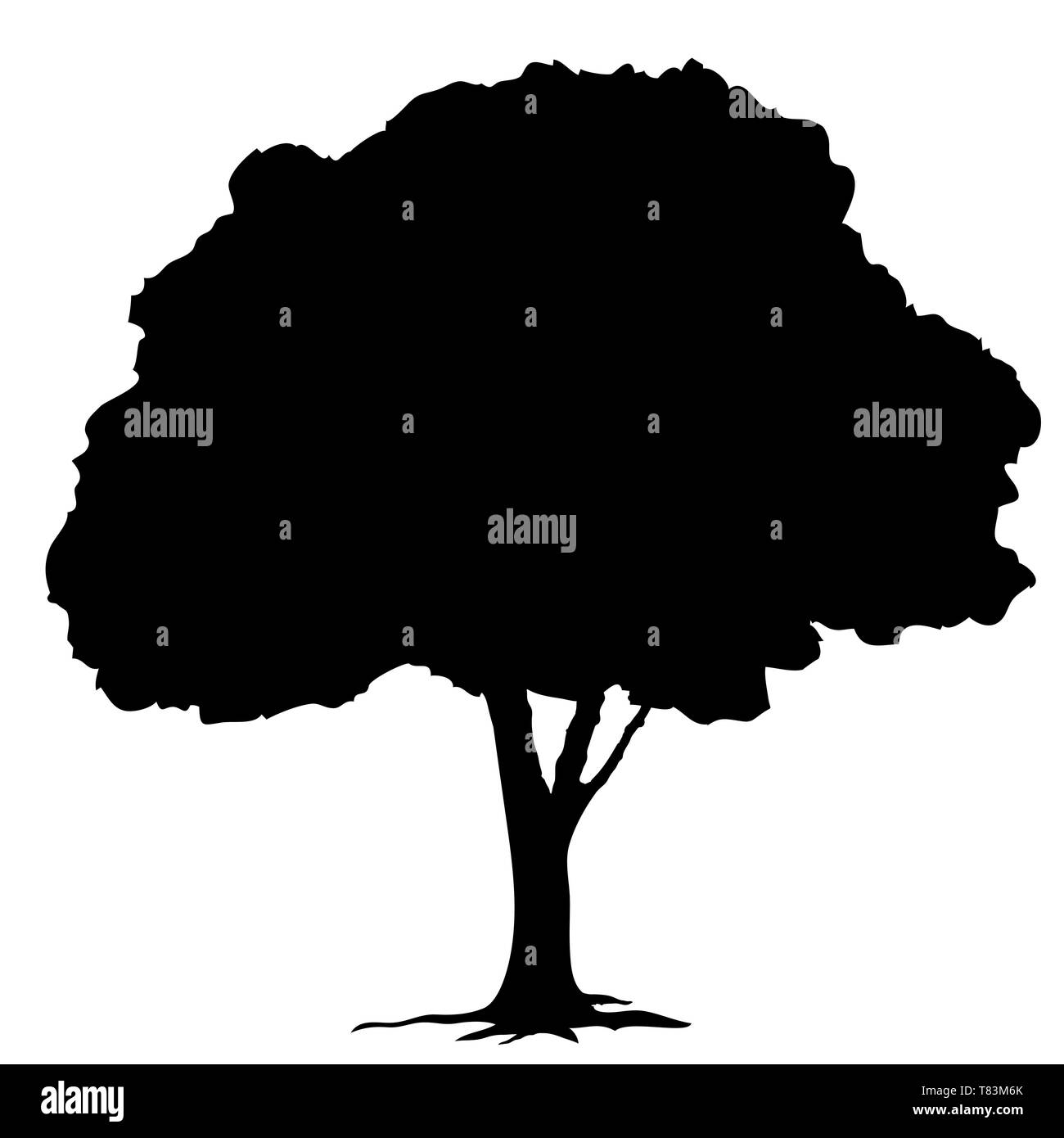 On oak tree Stock Vector Images - Alamy