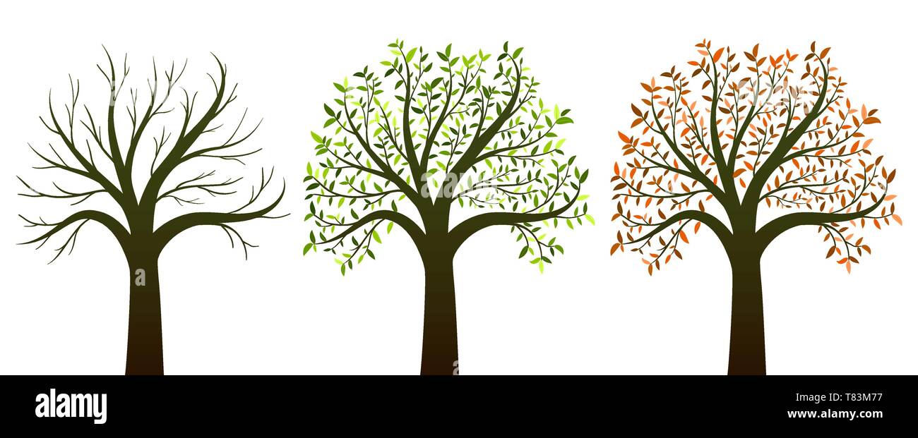 Four seasons trees on white background vector Stock Vector Image & Art ...