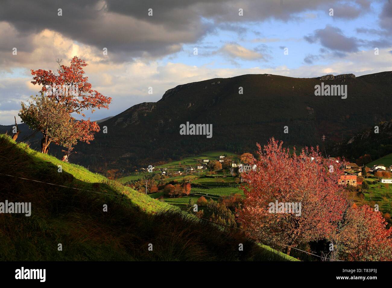 Spain, Asturias, Boal, mountainous landscape in autumn Stock Photo - Alamy
