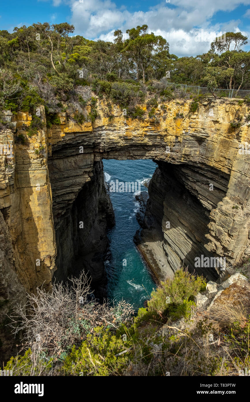 Tasman Arch. Natural wonder. Tasmania. Australia Stock Photo - Alamy
