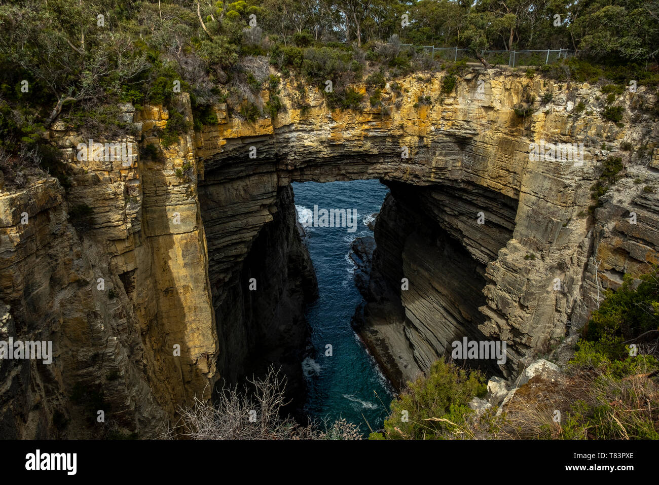 Tasman Arch. Natural wonder. Tasmania. Australia Stock Photo - Alamy