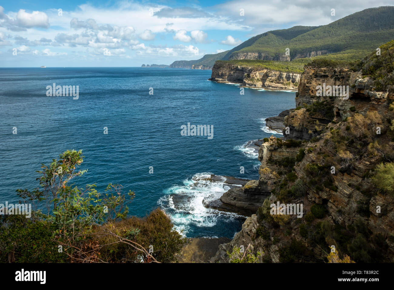 Cliffs of Tasman National Park. Waterfall Bay Track Stock Photo - Alamy