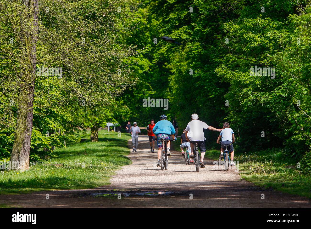France, Yvelines, Velizy Villacoublay, Forest of Meudon, Route du ...