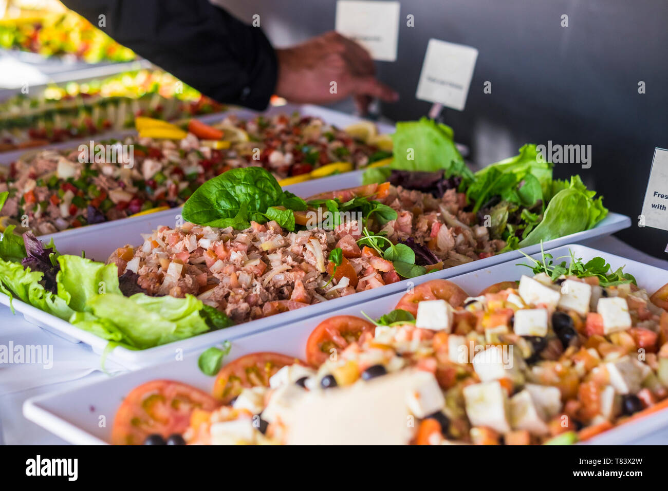 Fresh fish food and vegetables for catering and restaurant exposition ...