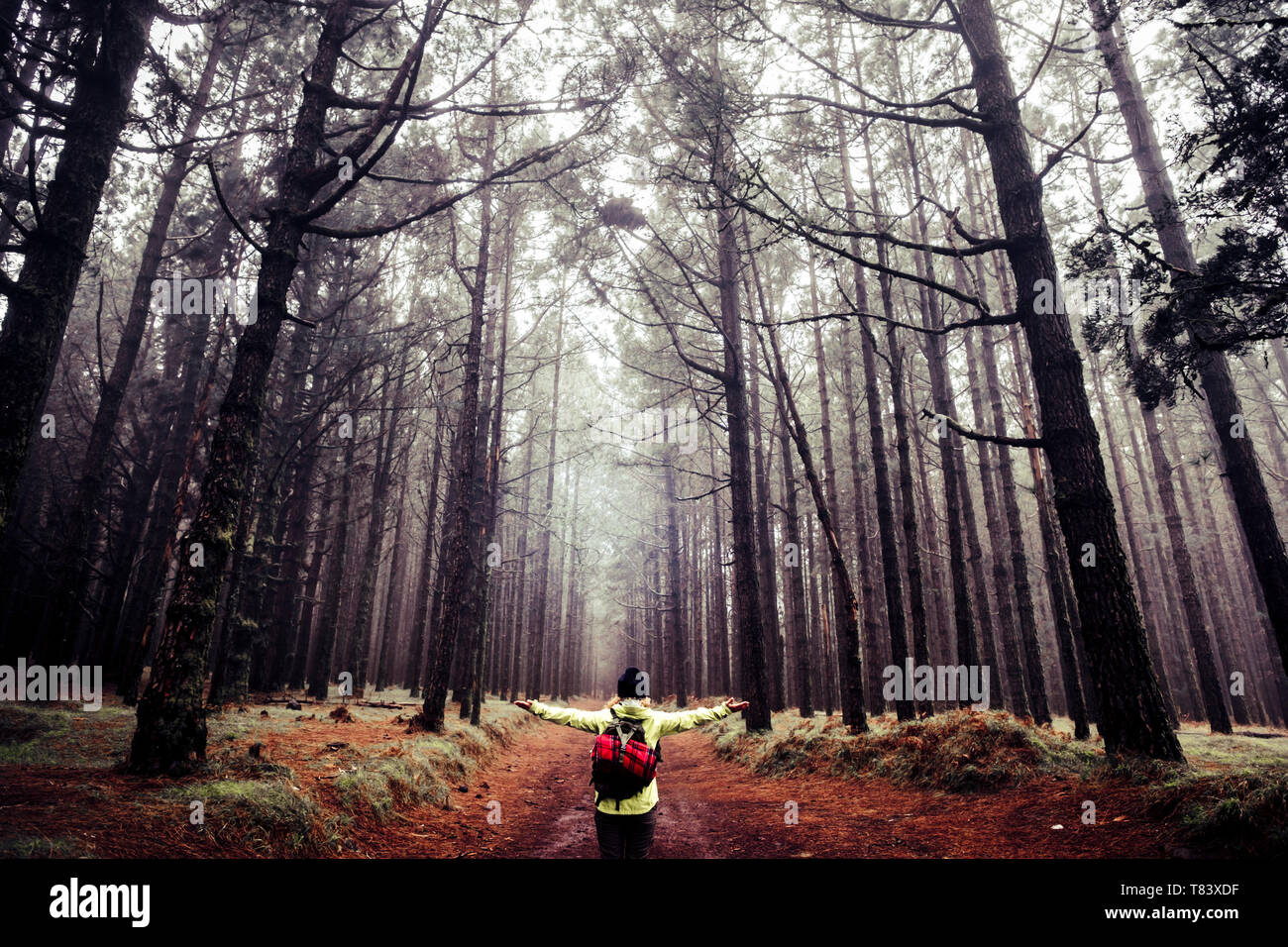 Happy people adventure trekking hiking concept enjoying nature and ...