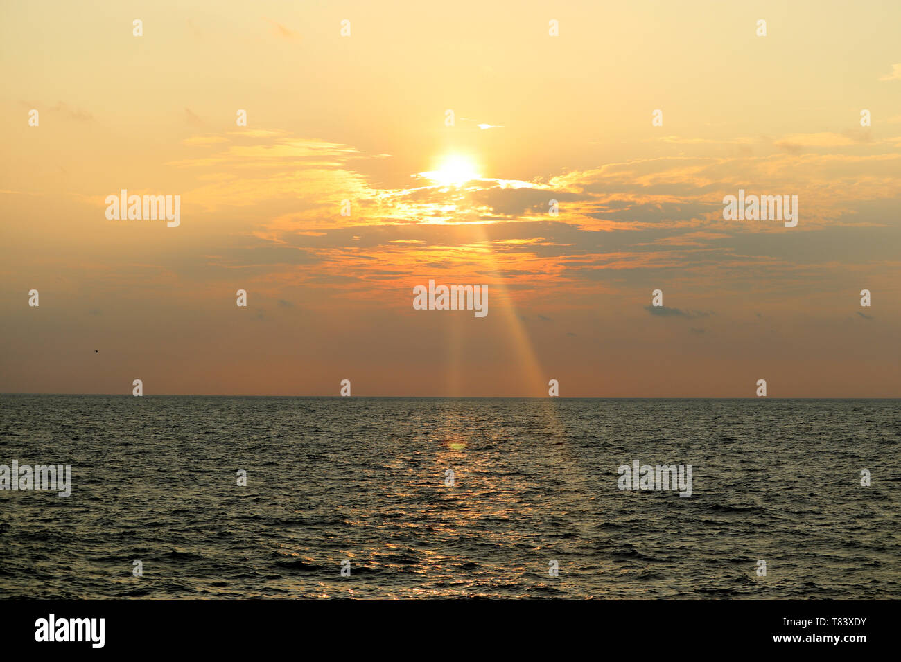Sunset Point Landscape View Stock Photo - Alamy
