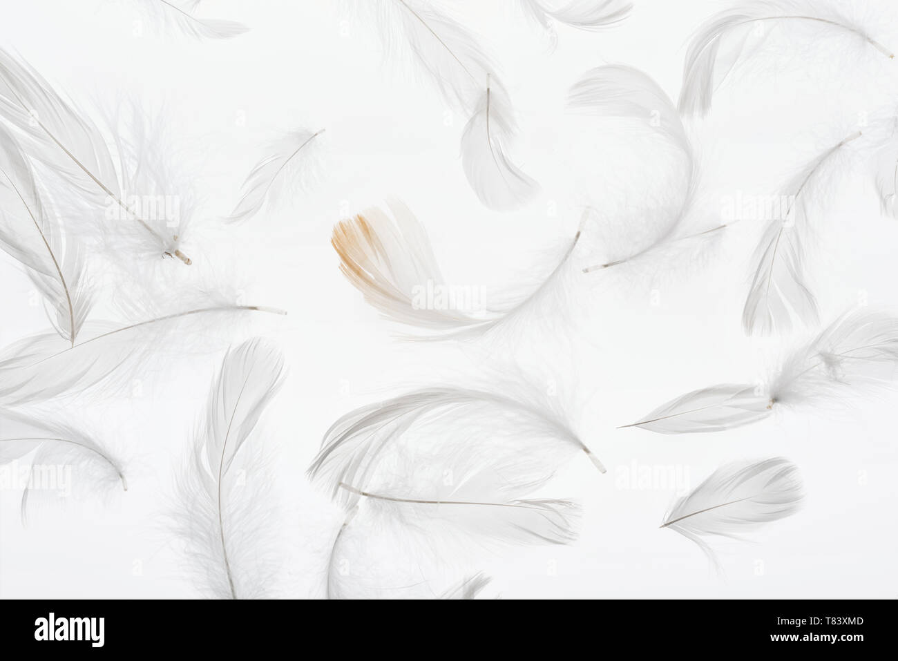 Faint pattern hi-res stock photography and images - Alamy