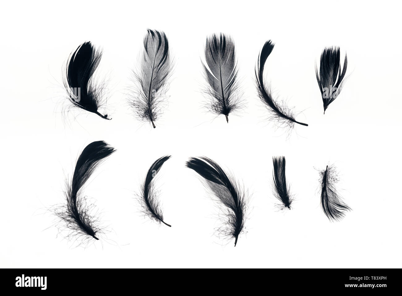 Lightweight objects hi-res stock photography and images - Alamy