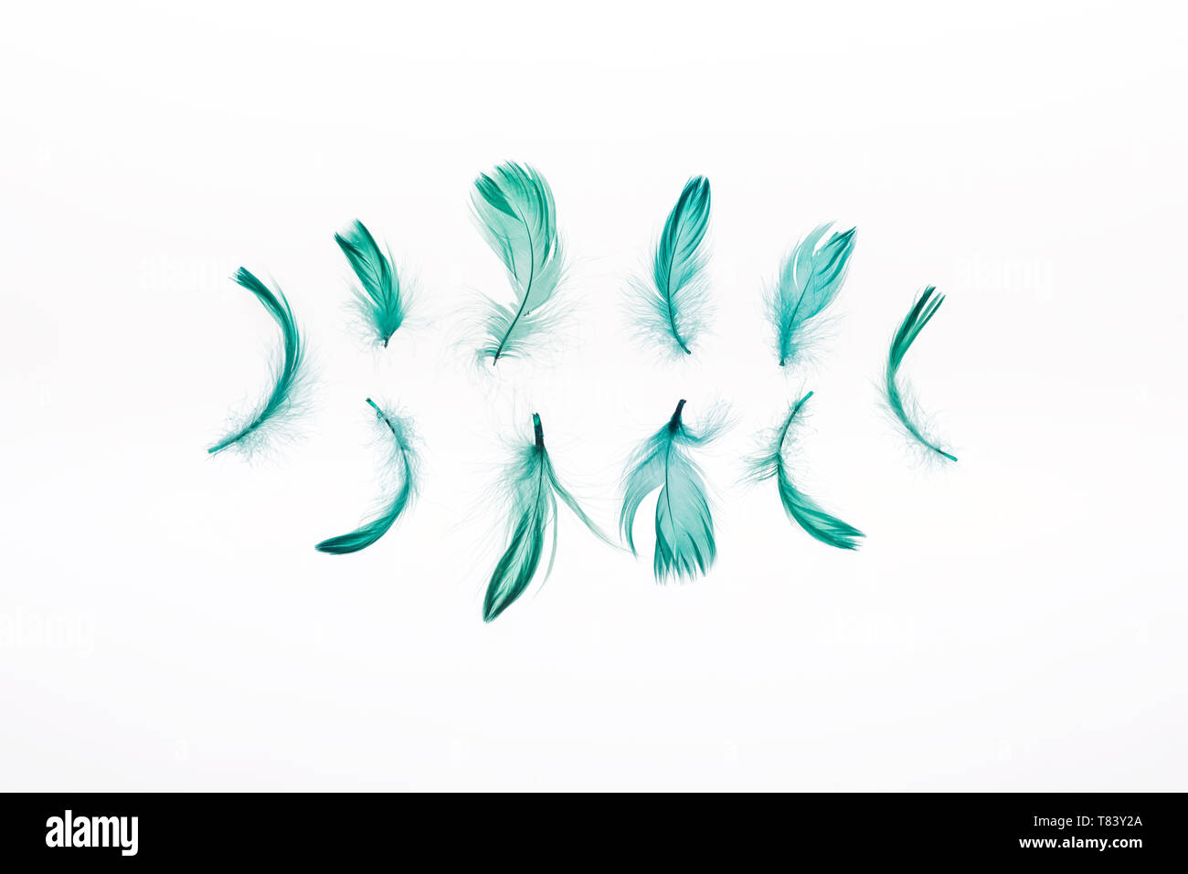 Soft feathers hi-res stock photography and images - Alamy