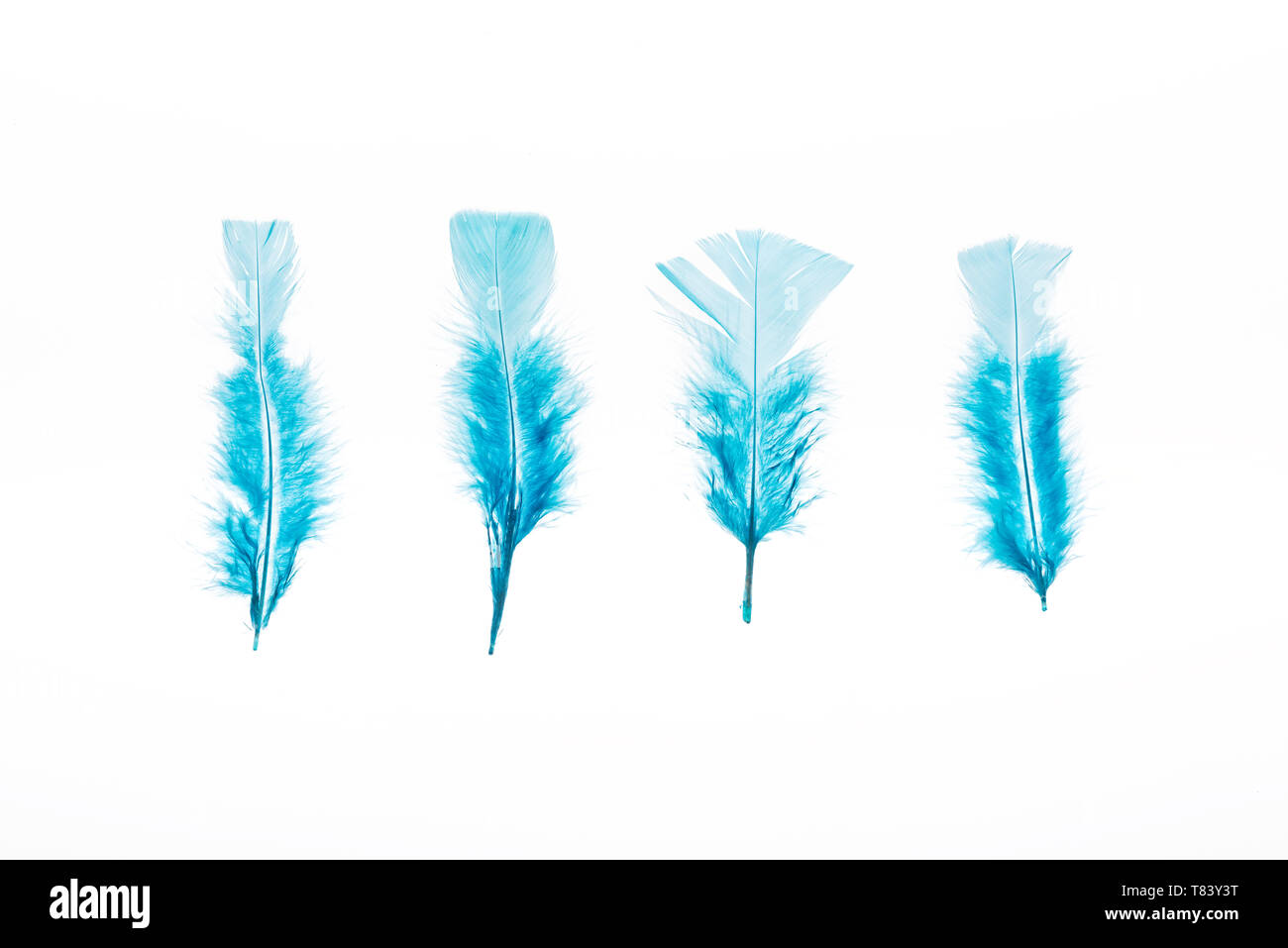 The four feathers Cut Out Stock Images & Pictures - Alamy