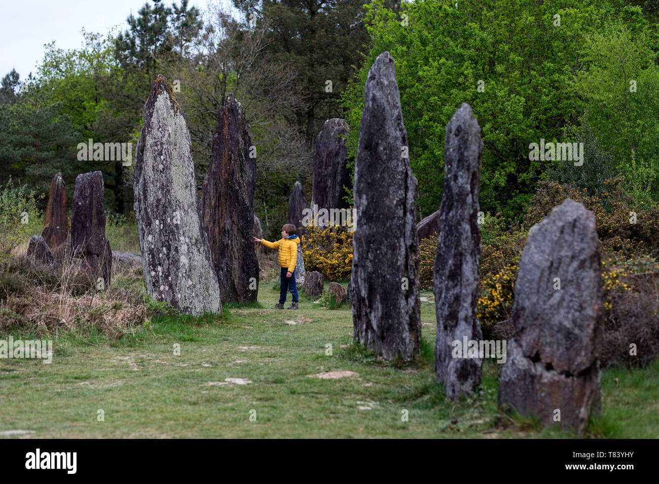 Young boy touching a menhir at Menhirs of Monteneuf, megalithic area of ...