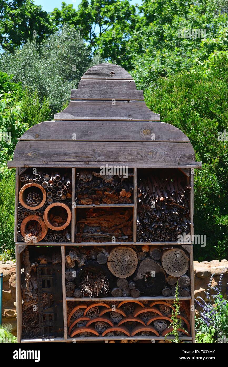 South Africa, Western Cape, Paarl, botanical garden of Babylonstoren ...