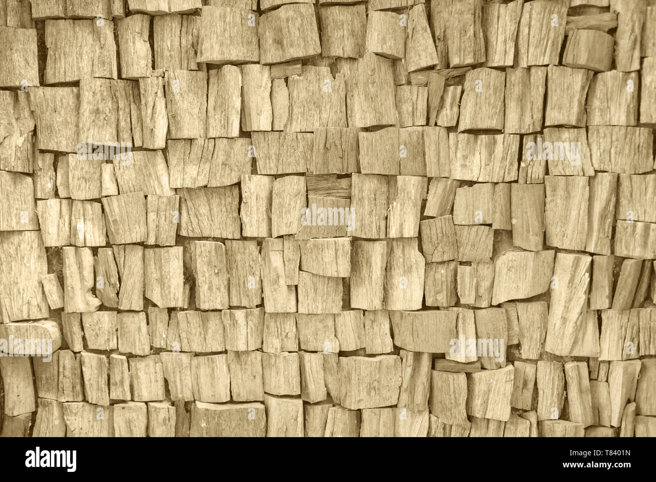 Neutral light brown textured wood pieces ecological background for ...