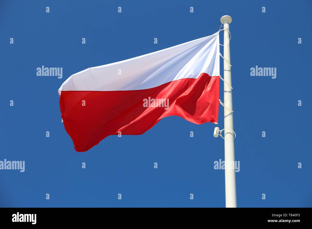 Polish national colors hi-res stock photography and images - Alamy