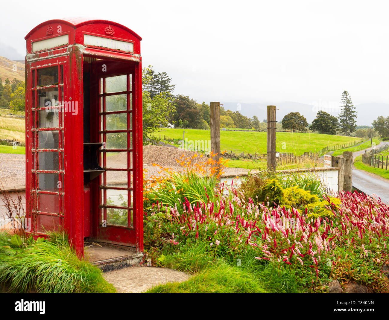 Angus countryside scotland phone booth hi-res stock photography and ...