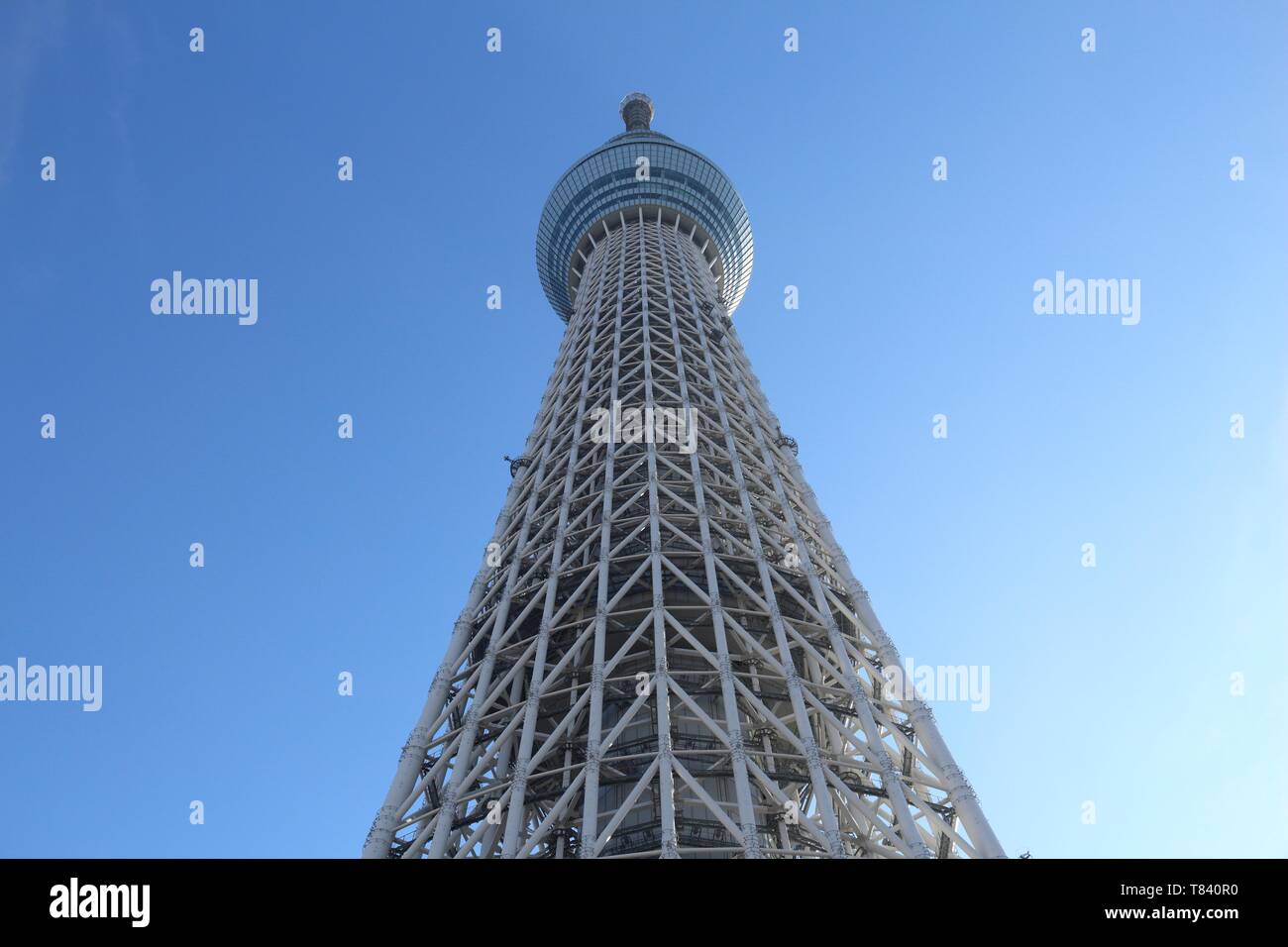 TOKYO, JAPAN - NOVEMBER 30, 2016: Skytree tower in Tokyo, Japan. The 634m tall broadcasting ...
