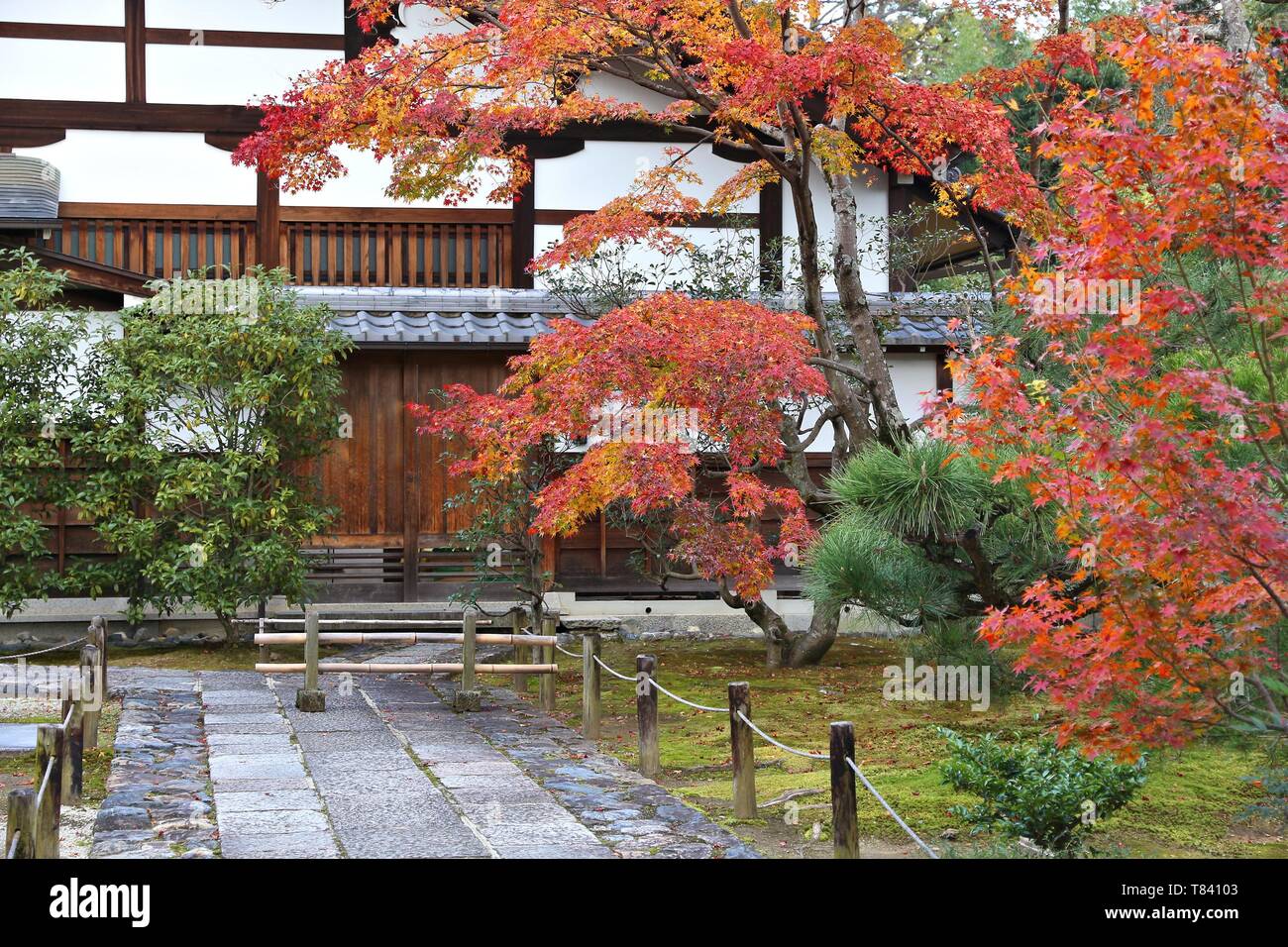 Kyoto, Japan - Tenryuji Temple in Arashiyama. Autumn leaves Stock Photo ...