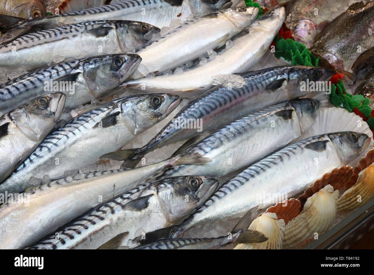 Leeds fish market hi-res stock photography and images - Alamy