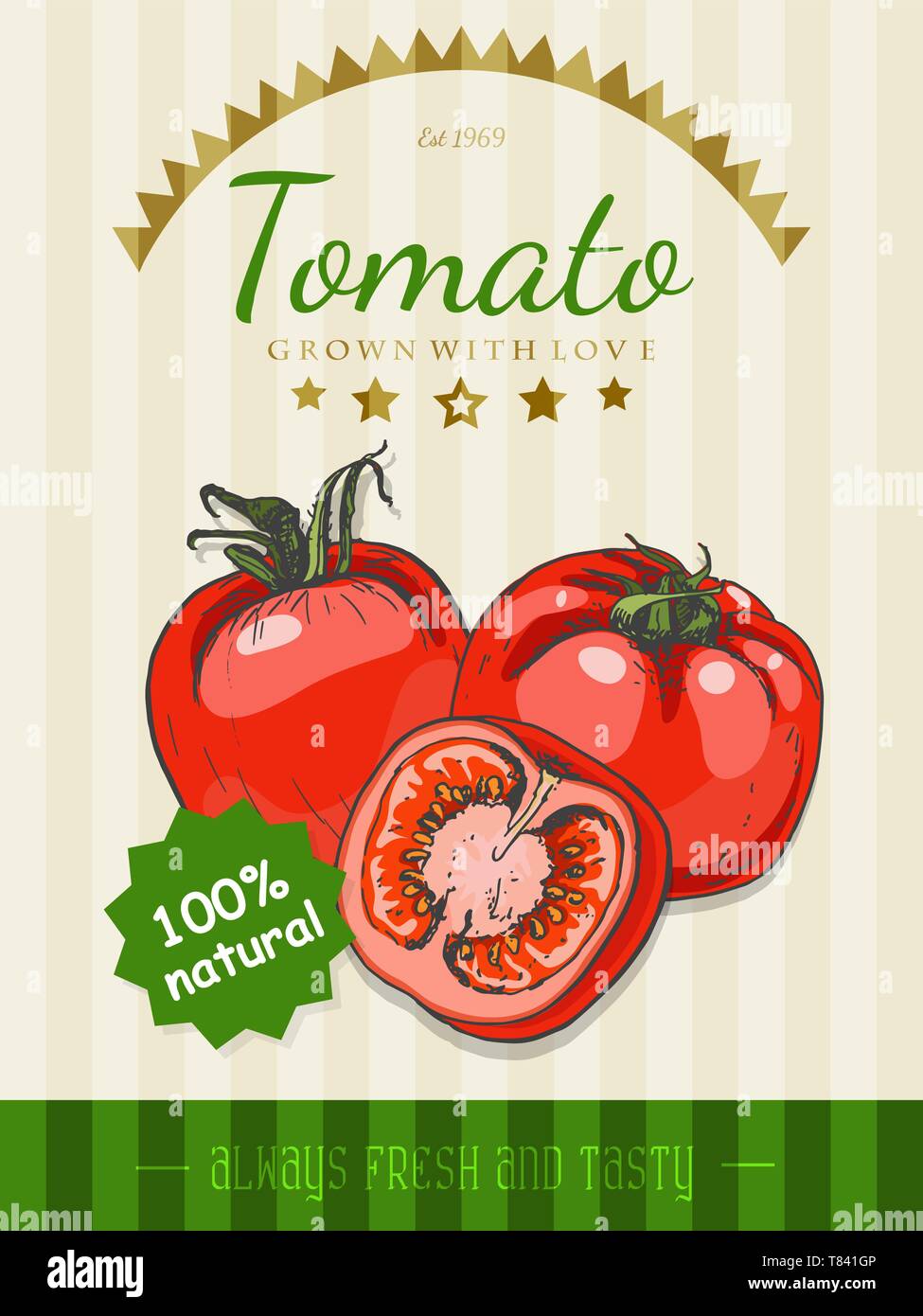 Vector poster with a tomato in a sketch style. Vector illustration for ...