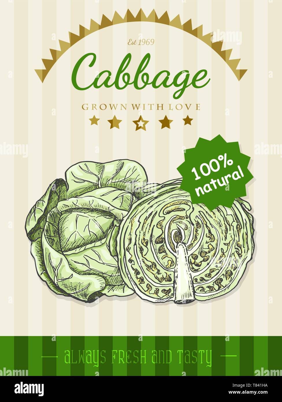 Vector poster with a cabbage in a sketch style. Vector illustration for ...