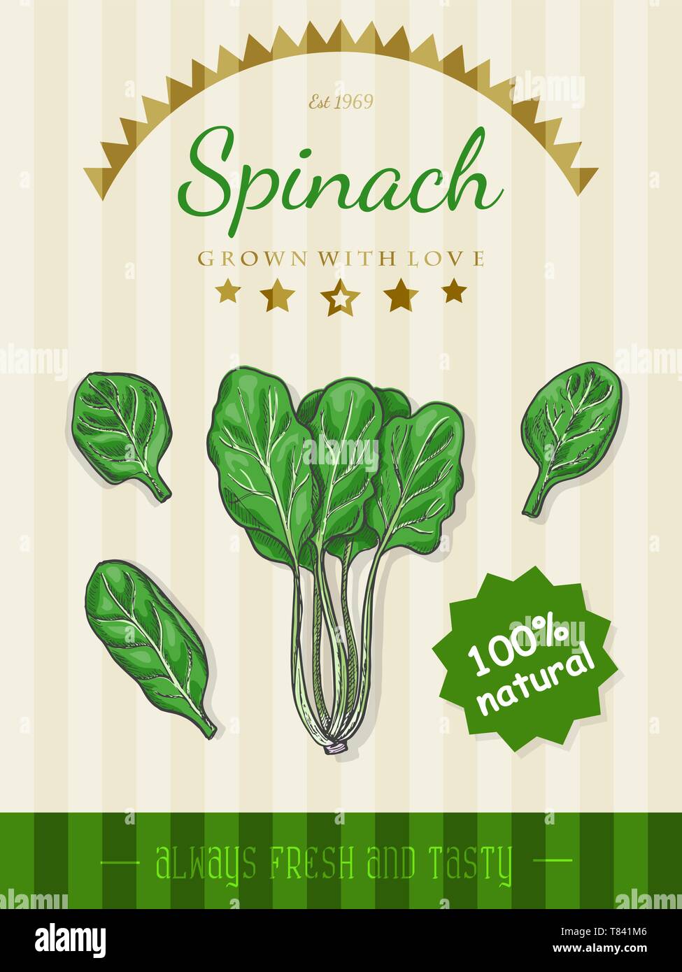 Spinach Vector