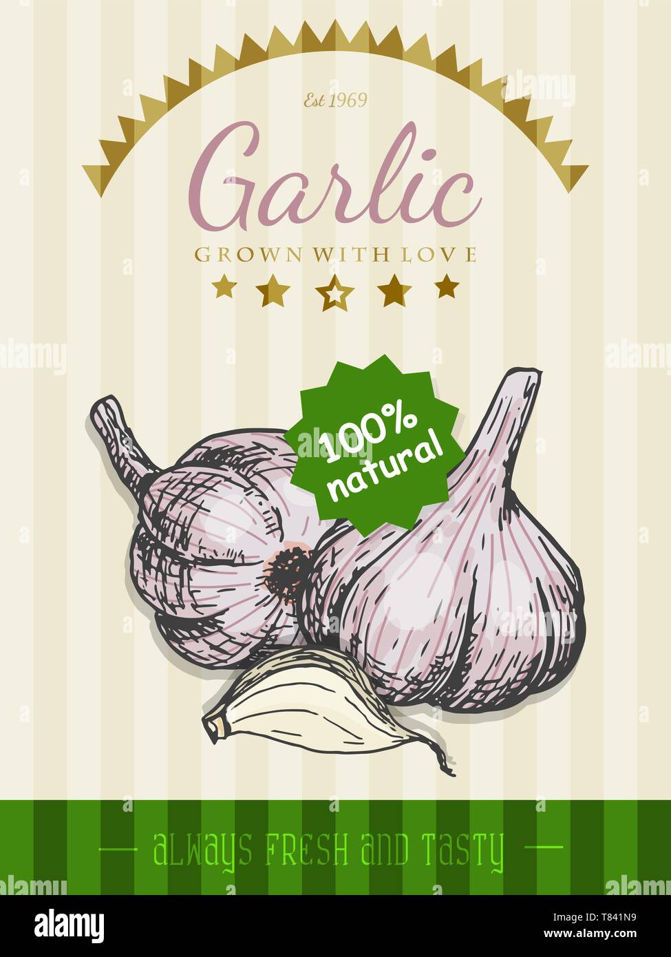 Vector poster with a garlic in a sketch style. Vector illustration for ...