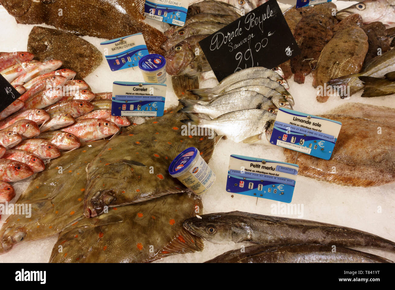 Seafood market in france hi-res stock photography and images - Alamy