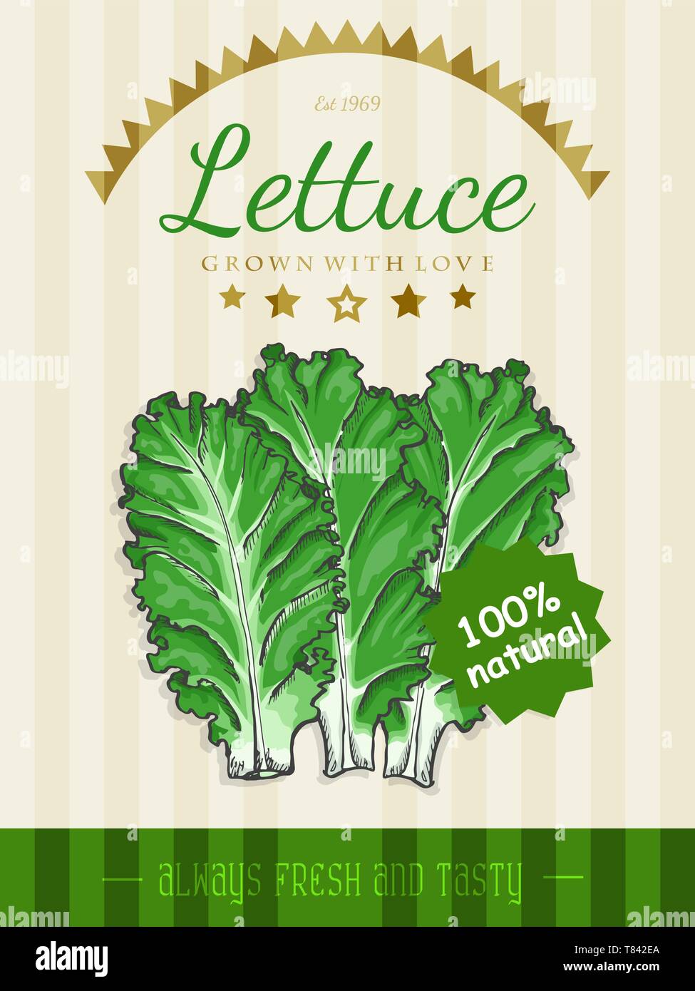 Vector poster with a lettuce in a sketch style. Vector illustration for ...