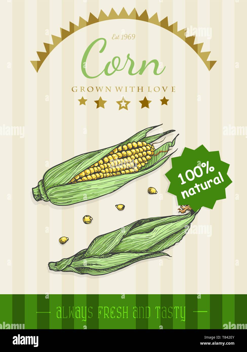 Vector poster with a corn in a sketch style. Vector illustration for ...