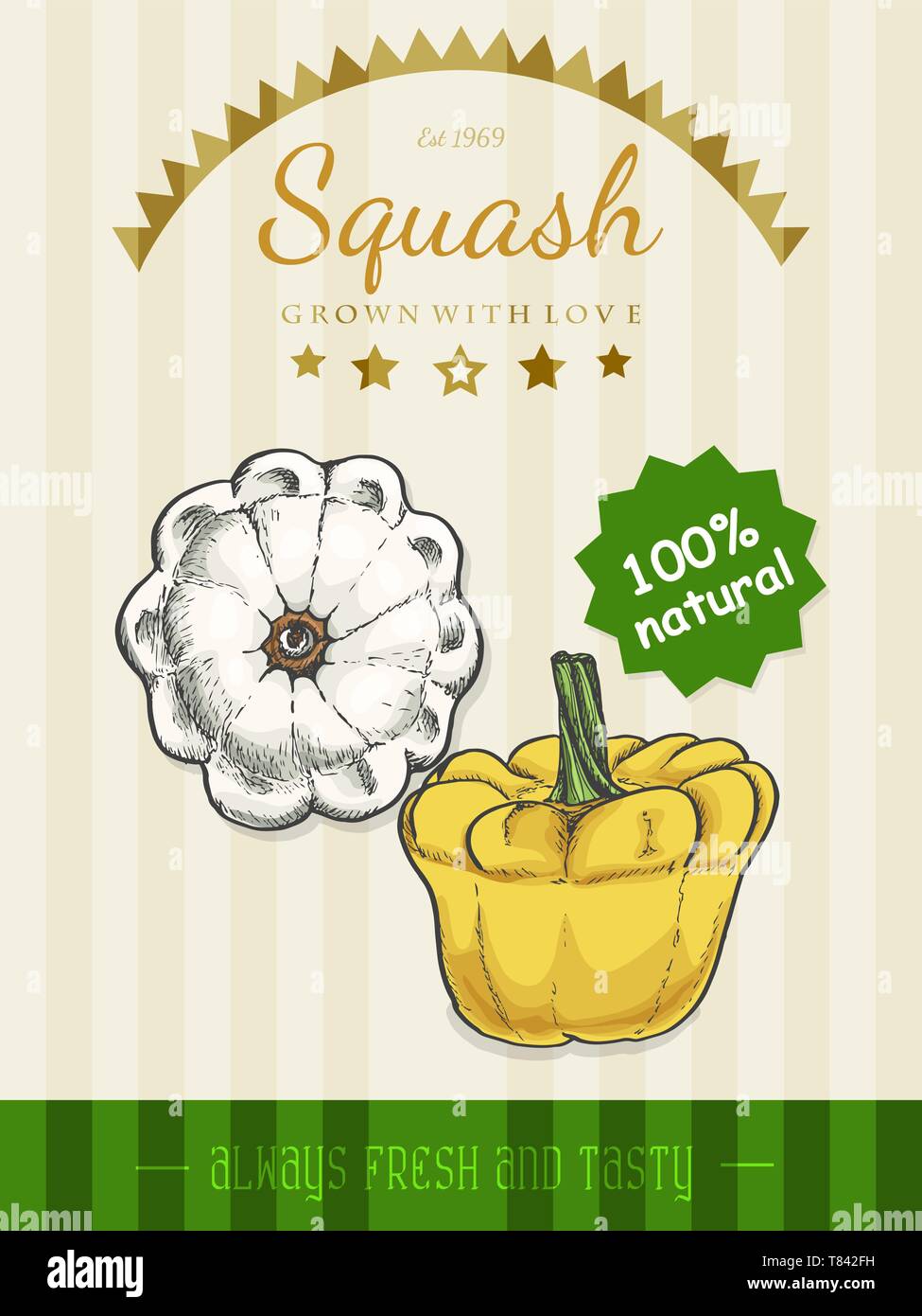 Vector poster with a squash in a sketch style. Vector illustration for ...