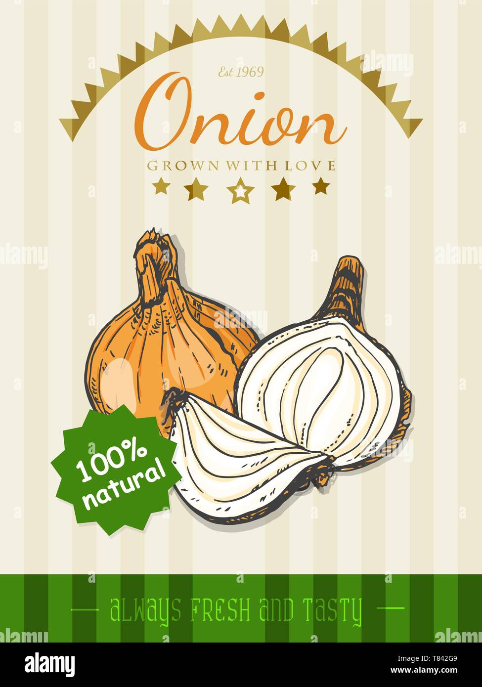 Vector poster with a onion in a sketch style. Vector illustration for ...