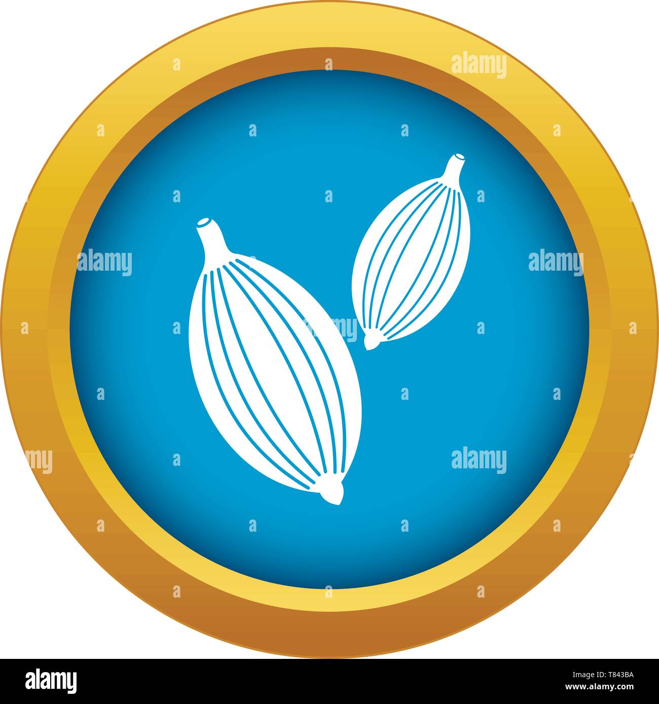 Cardamom pods icon blue vector isolated Stock Vector Image & Art - Alamy