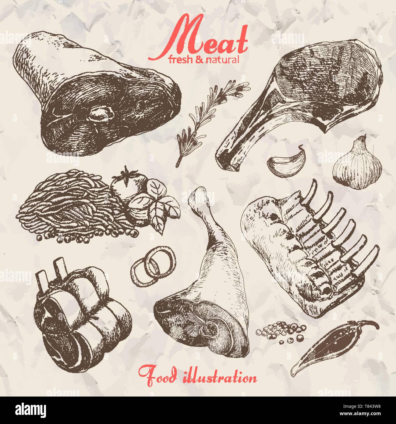 Set of hand drawn meat isolated. Vector illustration for your design ...