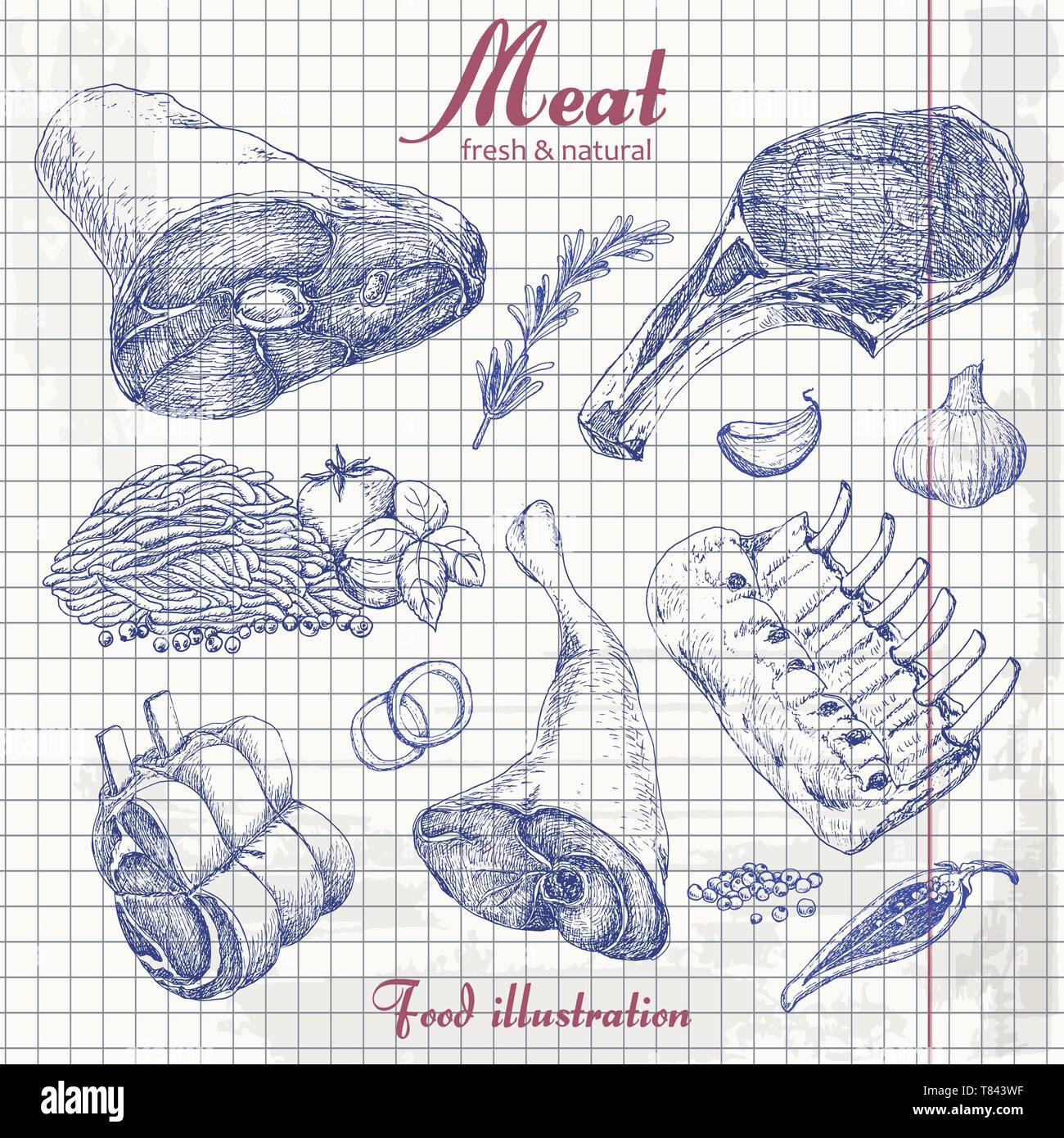 Set of hand drawn meat isolated on paper. Vector illustration for your ...