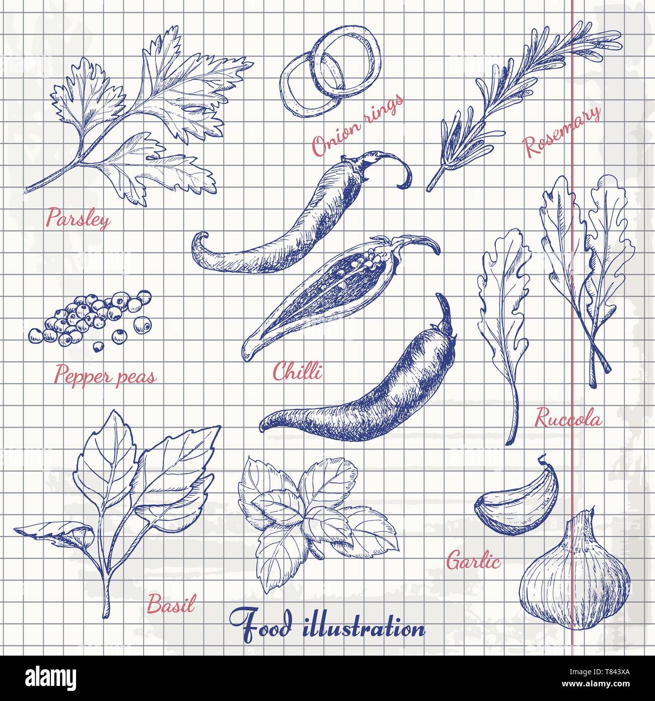 Set of spices in sketch style on paper. Vector illustration for your ...