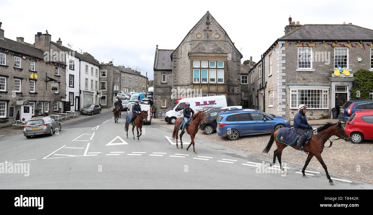 Horses return from the gallops at Middleham Stock Photo - Alamy