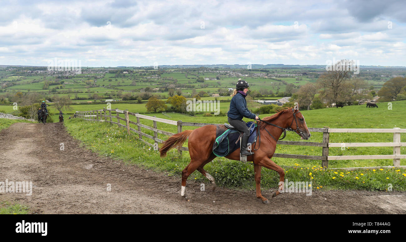 Horses exercise on the gallops at Middleham Stock Photo - Alamy