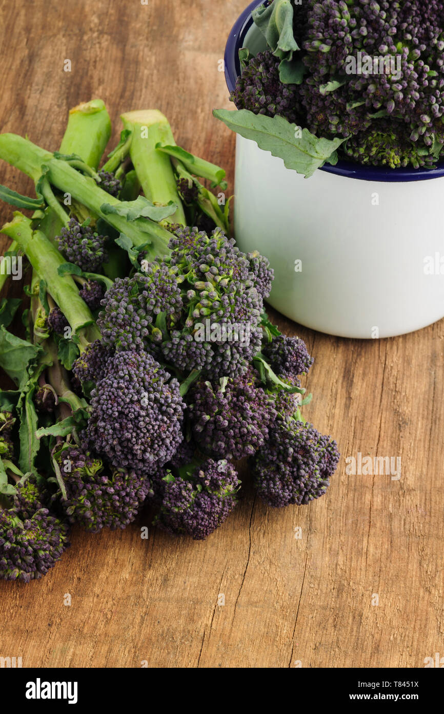 Flowering heads of purple sprouting broccoli a winter vegetable high in ...